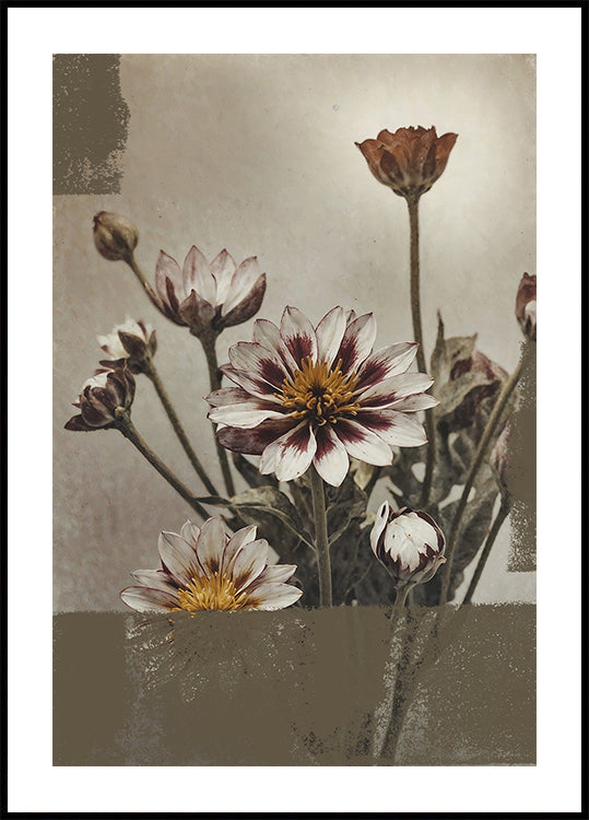 5 Vintage Flowers Poster – Posterbox.se
